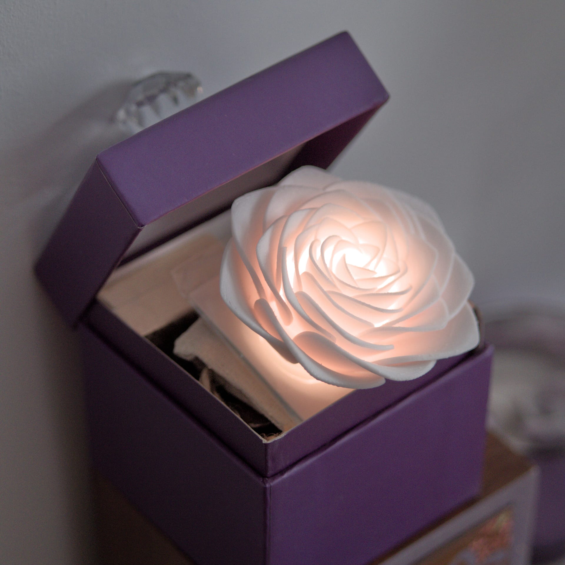 Luz de Rosa Blanco Puro - to Infinity