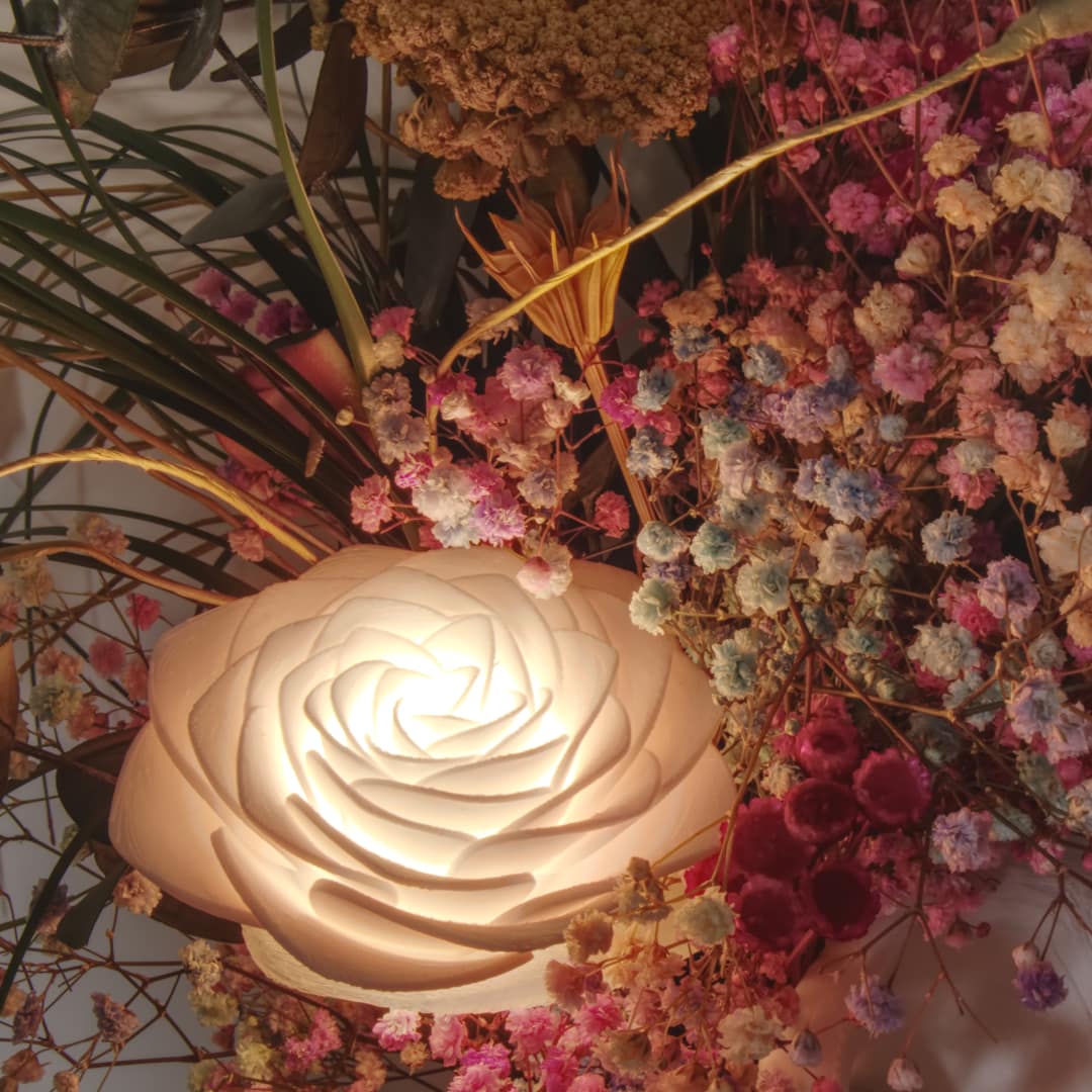 Luz de Rosa Blanco Puro - to Infinity